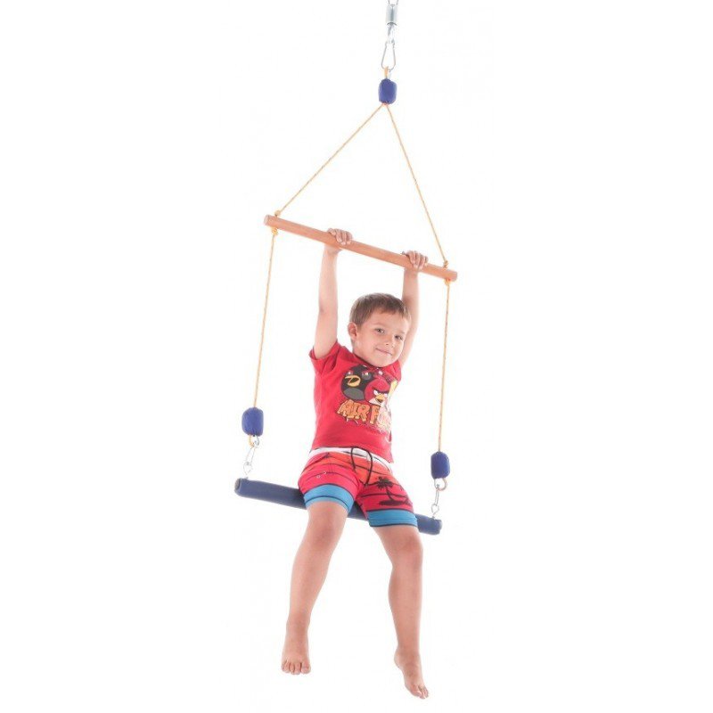 Sensory Therapy Double Trapeze Swing – EASE